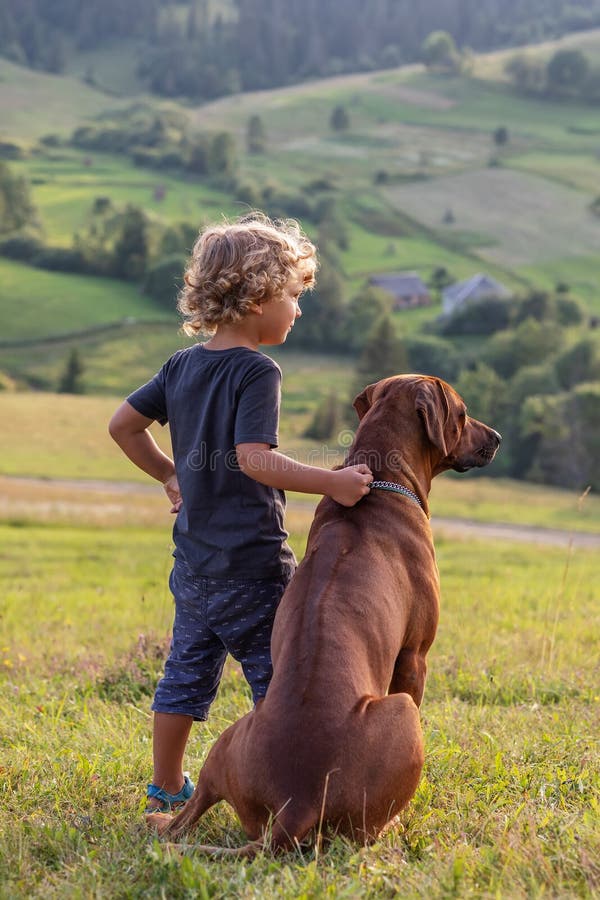 Curly Boy and Big Dog Sitting Together Stock Photo - Image of outdoor ...