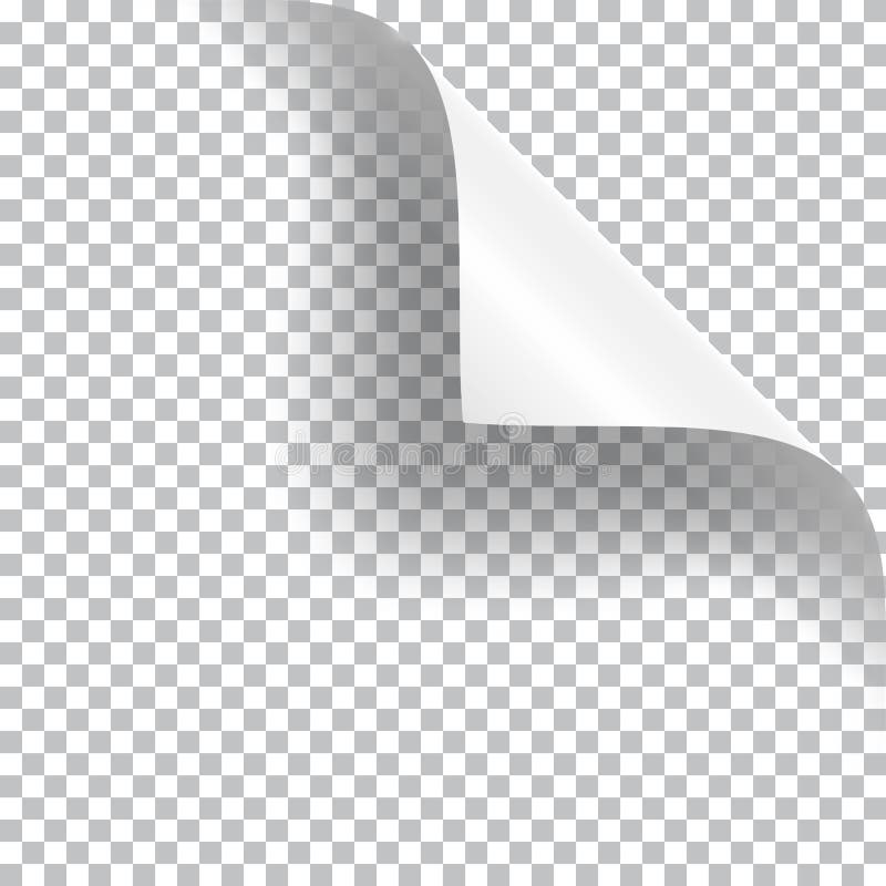 Curly Corner Line Icon Vector Illustration Flat Stock Vector ...