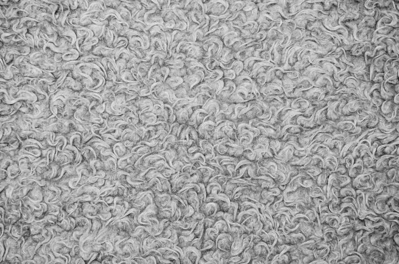 Curly Fur Light Gray Texture Background Stock Image - Image of pattern ...