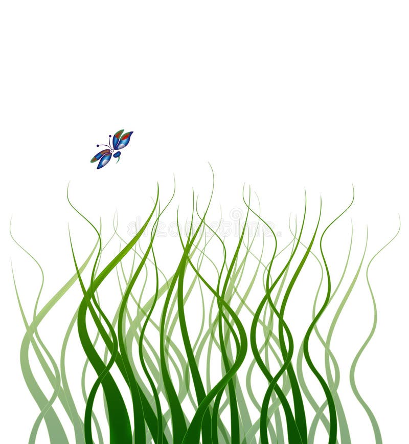 Curly Grass stock illustration. Illustration of growth - 15628370