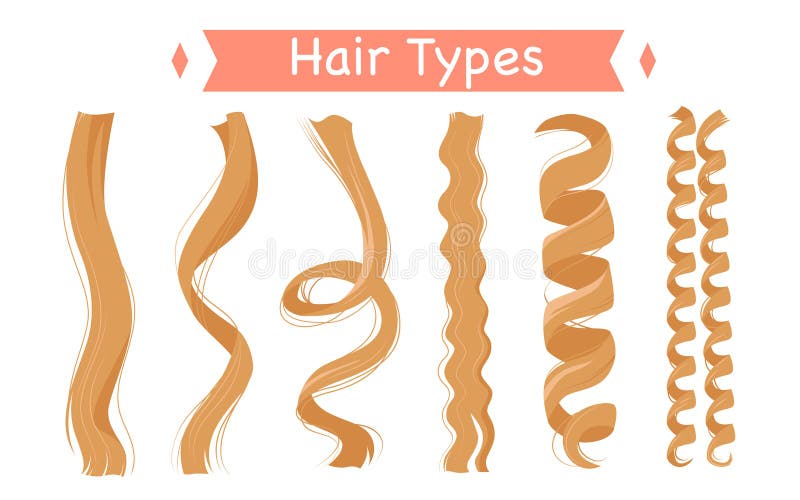 Curly Hair Types, Infographic Classification Set Vector Illustration ...