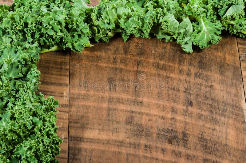 Curly Kale Leaves for Border Stock Image - Image of ingredient ...