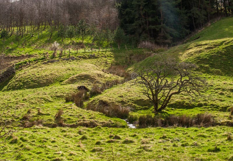 A Curly River Making Its Way through Fields Stock Photo - Image of ...