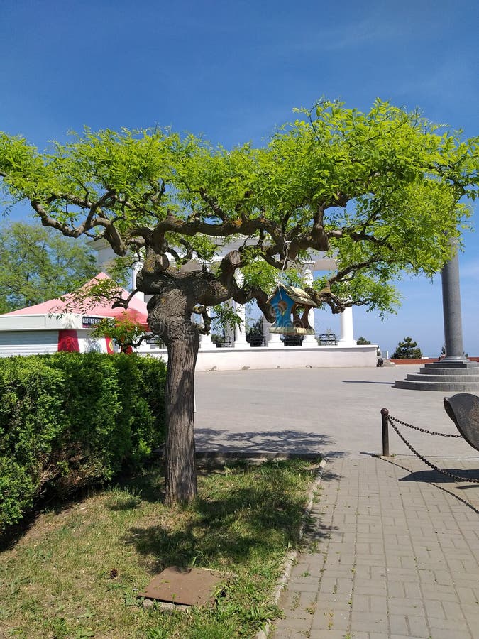 Crooked Columns Stock Photos - Free & Royalty-Free Stock Photos from ...