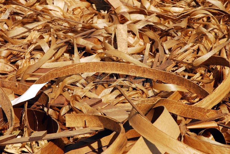 Curly wood shavings stock photo. Image of scobs, brown - 14626416