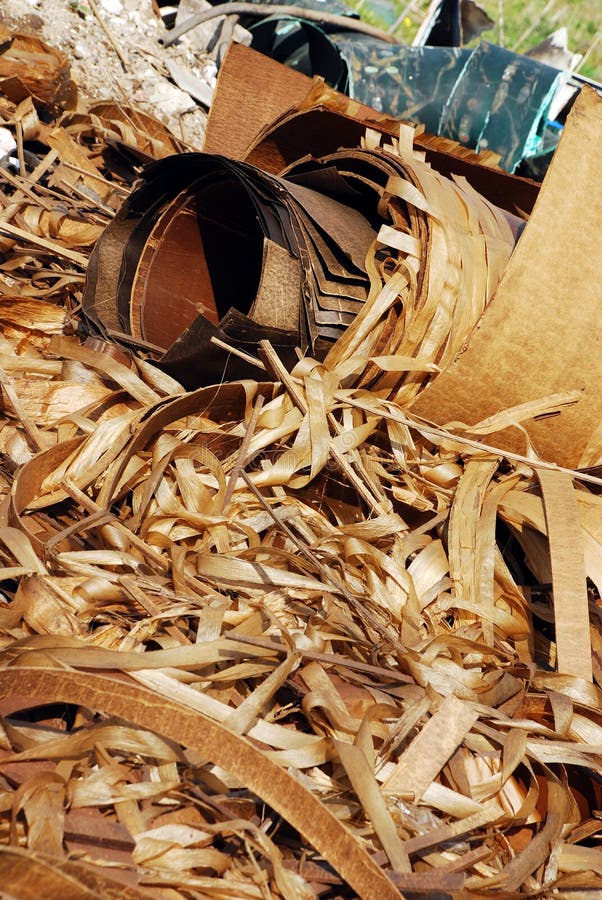 Curly wood shavings stock image. Image of pattern, cutoff - 14626485