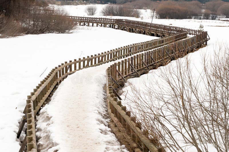 Curly Wooden Bridge Over the Frozen Lake Stock Image - Image of wood ...