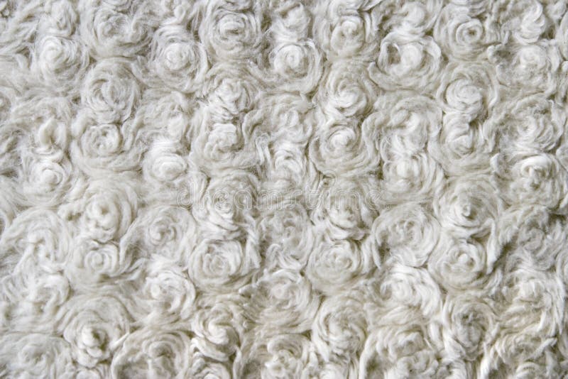 Curly Wool Texture Close Up Stock Photo - Image of abstract, fabric ...