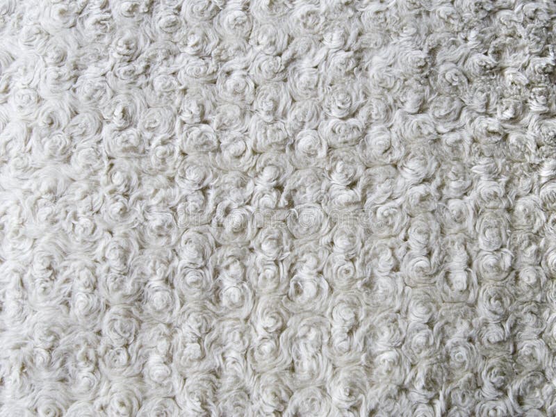 Curly Wool Texture Medium Shot Picture. Image: 3389333