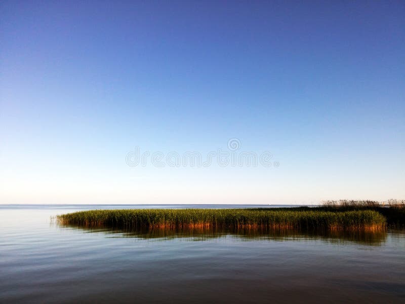 Curonian lagoon, Lithuania stock photo. Image of sedge - 65805594