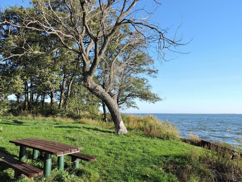 969 Curonian Lagoon Shore Lithuania Stock Photos - Free & Royalty-Free ...