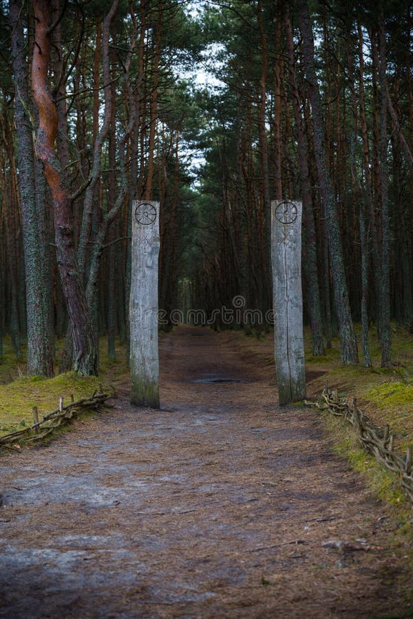Curonian Spit. Entrance To the Dancing Forest Stock Image - Image of ...