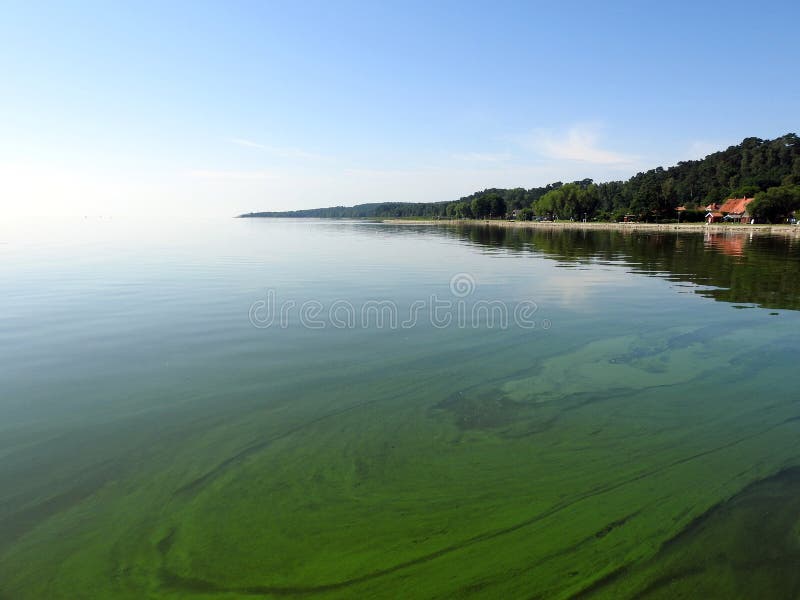 Curonian Spit Shore , Lithuania Stock Image - Image of house, natural ...