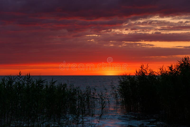The Curonian Spit, sunset stock photo. Image of weather - 371527696