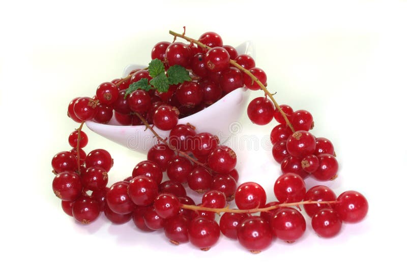 Fresh currant stock photo. Image of plant, fruit, garden - 13421302