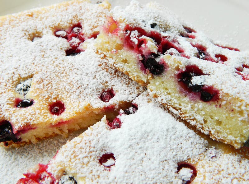 Currant cake stock image. Image of black, food, cake - 25773313