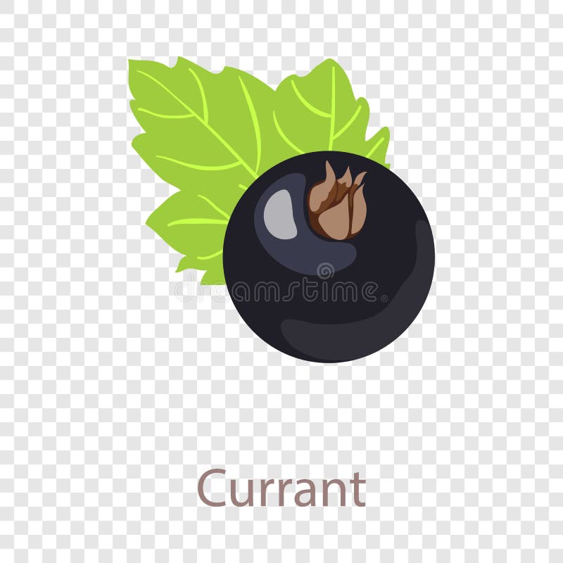 Currant Icon, Isometric 3d Style Stock Vector - Illustration of object ...