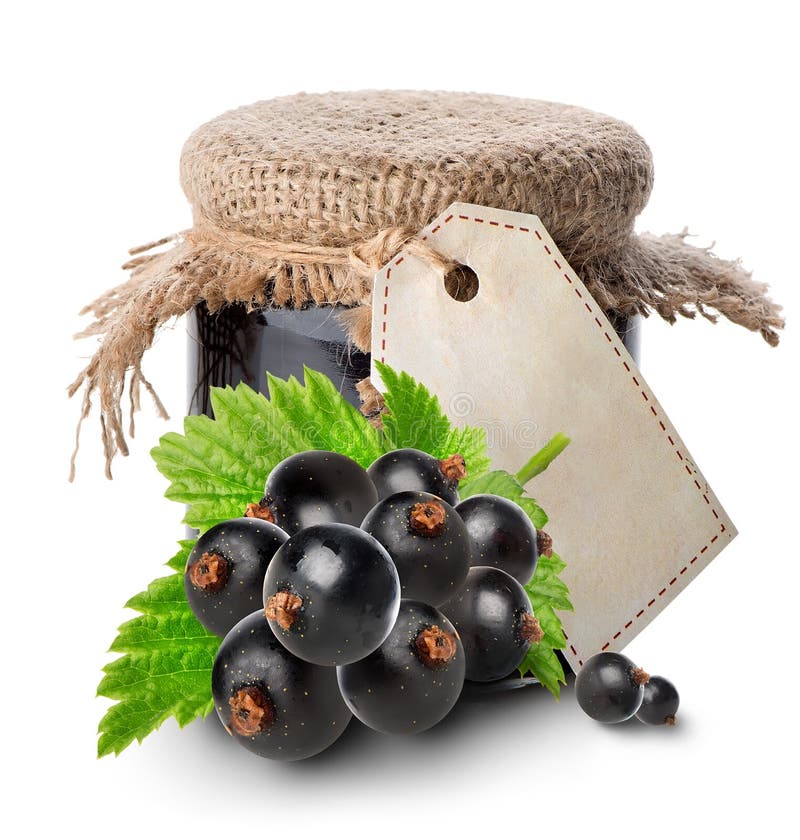 Currant and jam stock photo. Image of gardening, healthy - 59874952
