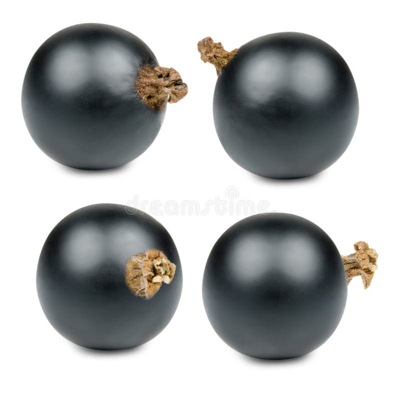 Black Currant Slice and Leaf Collection Stock Image - Image of food ...