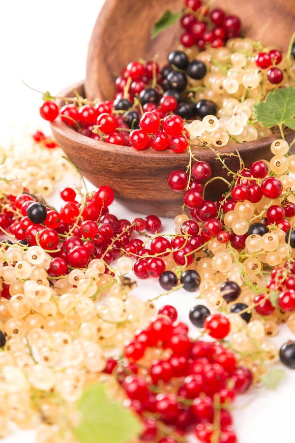 Currants Different Colors - Red, Black, White Stock Photo - Image of ...