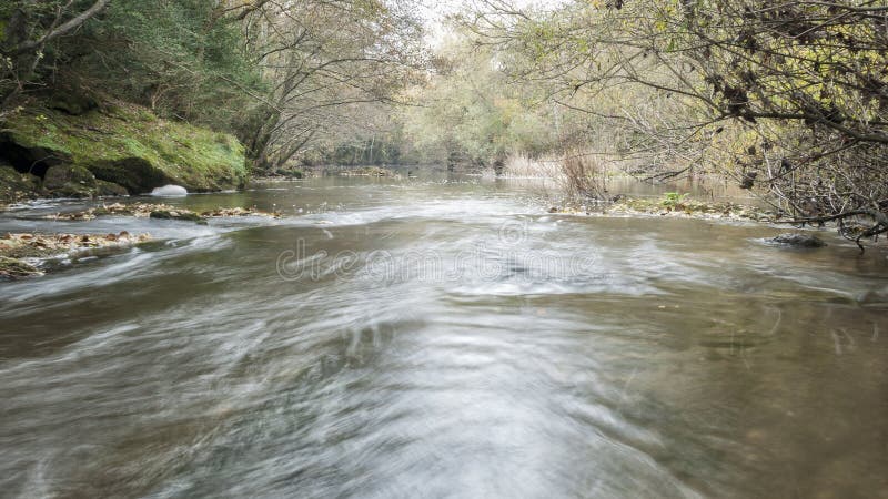 Current of the River in Autumn Stock Image - Image of natural, stream ...
