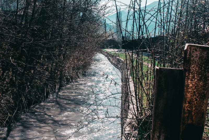 The Current River on the Background of Trees Stock Image - Image of ...
