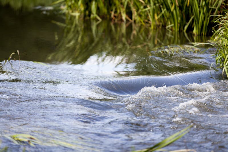 The current river stock image. Image of raging, green - 142042543