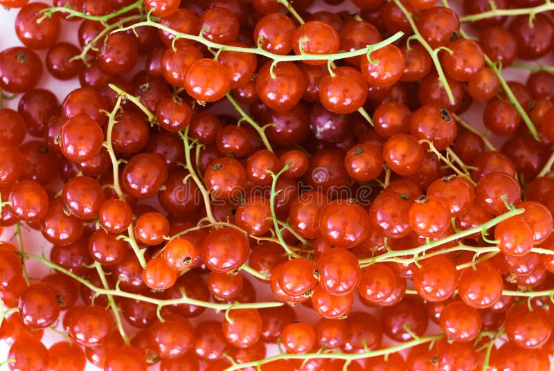 Currents full frame stock photo. Image of confiture, closeup - 32296332