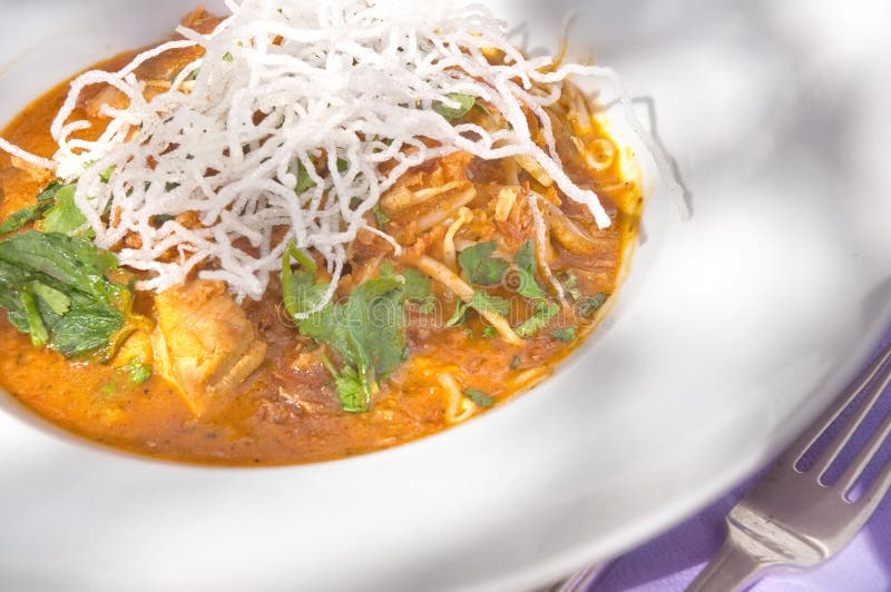 Curry indio del pollo imagen de archivo. Imagen de comida - 23898331