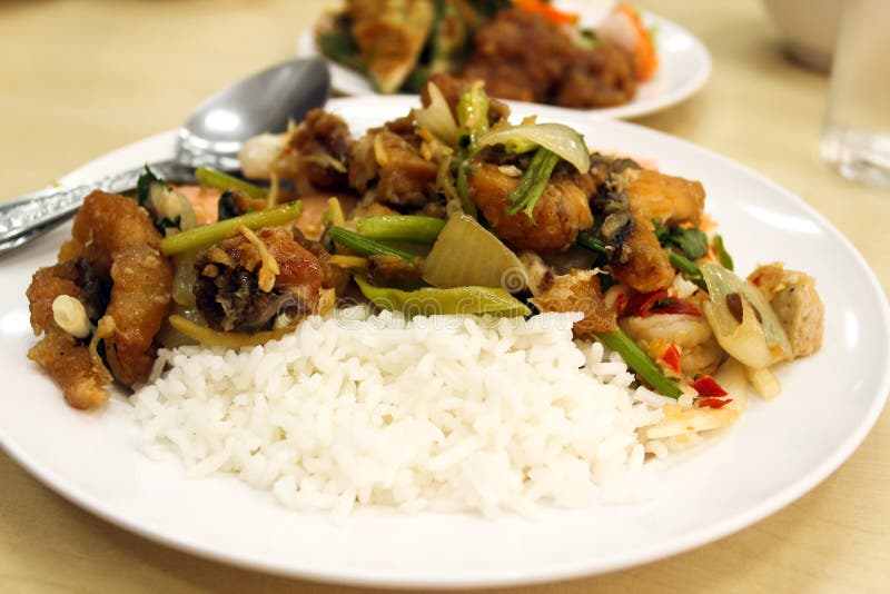 Curry over Rice stock image. Image of onion, meat, restaurant - 31604903