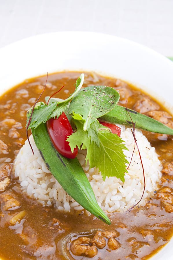 Curry and rice stock photo. Image of meat, meal, spicy - 26425366