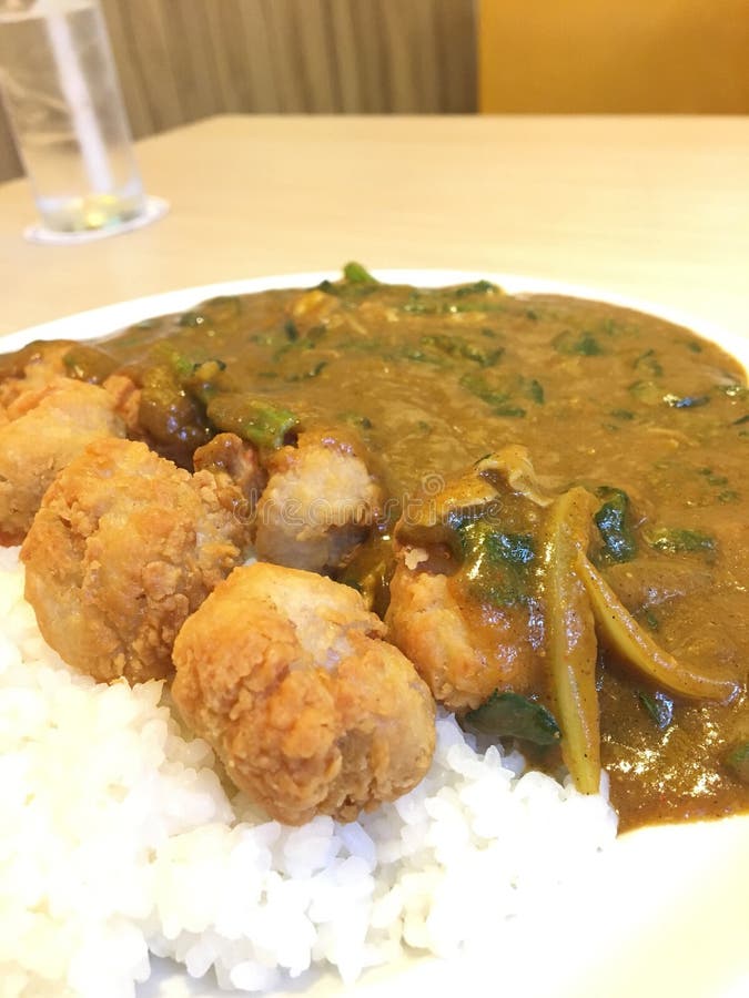 Curry rice with chicken stock image. Image of chicken - 102333477