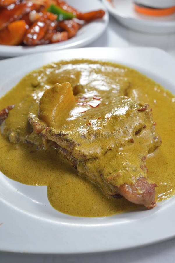 Curry sauce pork slice stock image. Image of coconut - 135408017