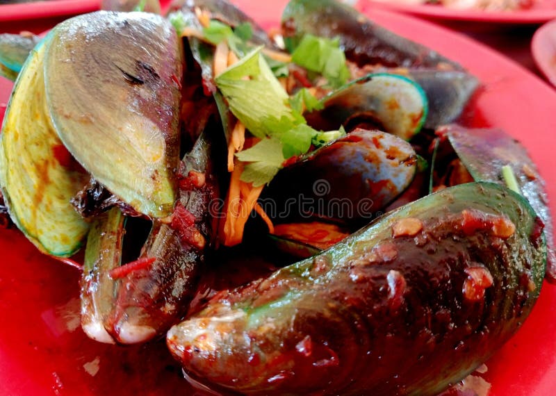 Nice Curry Shells Stock Photos - Free & Royalty-Free Stock Photos from ...