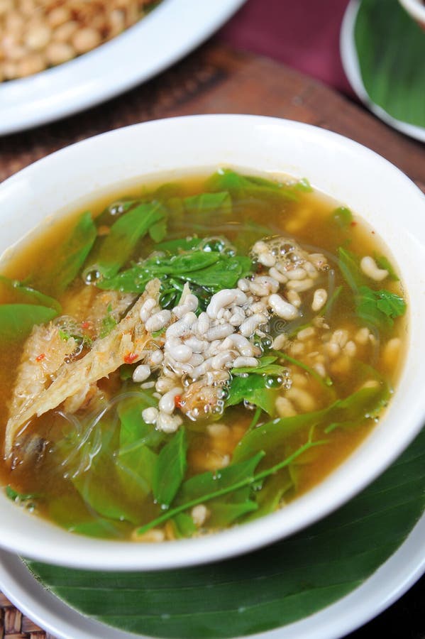 Curry spicy egg ant stock photo. Image of herb, insect - 27034062