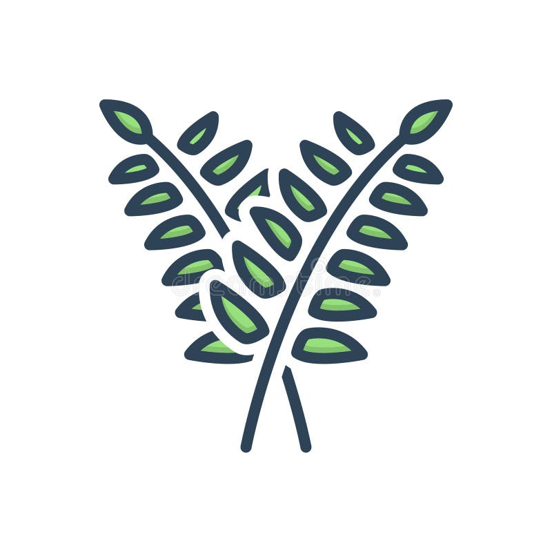 Curry Botanical Illustration Stock Illustrations – 296 Curry Botanical ...