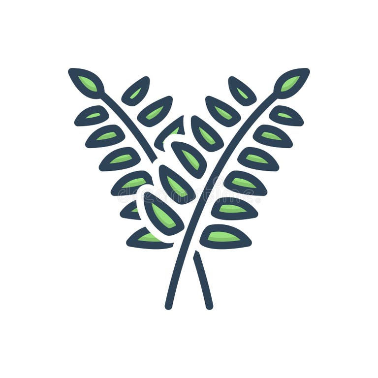 Curry Leaves Tree Stock Illustrations – 148 Curry Leaves Tree Stock ...