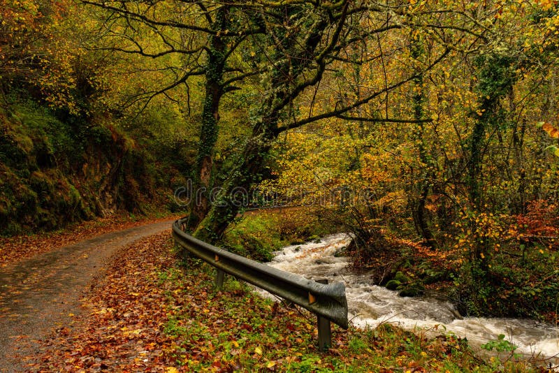 Curso Do Rio Narcea Em Asturias. Imagem de Stock - Imagem de parque ...