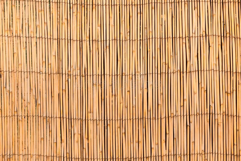 Curtain of Reeds and Columns at the Entrance Stock Photo - Image of ...