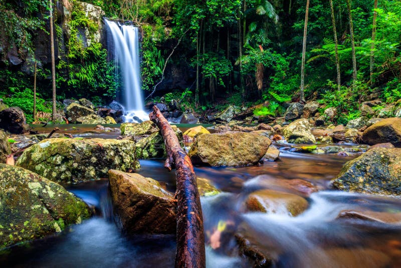 Curtis Falls Fresh Water Flowing on Wet Rocks Surrounded by Trees with ...