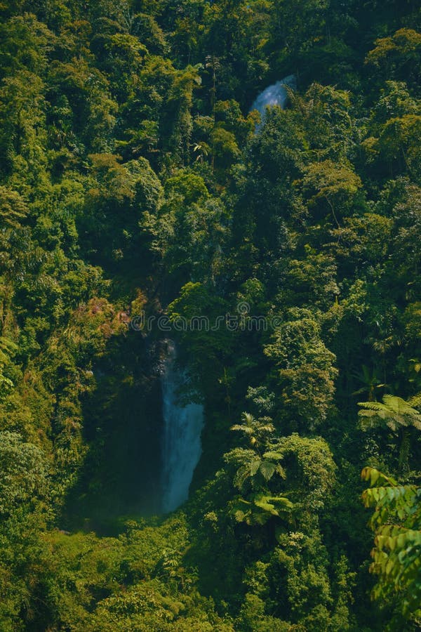 Curug Ciherang stock image. Image of java, waterfall - 146639201
