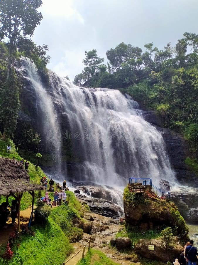 Curug Cikondang Cianjur Editorial Stock Image Image Of Tree 261670064