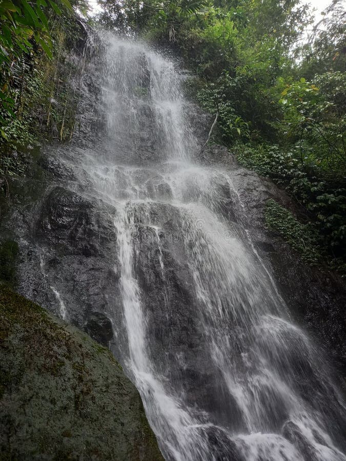 Curug Cilember waterfall stock image. Image of jungle - 270441503