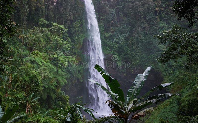 Curug Citumang stock photo. Image of water, nature, trekking - 68872140