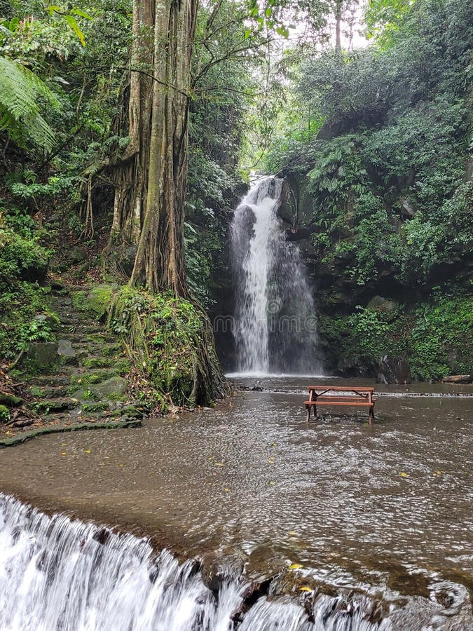 Curug Putri Palutungan stock image. Image of regent - 266066049