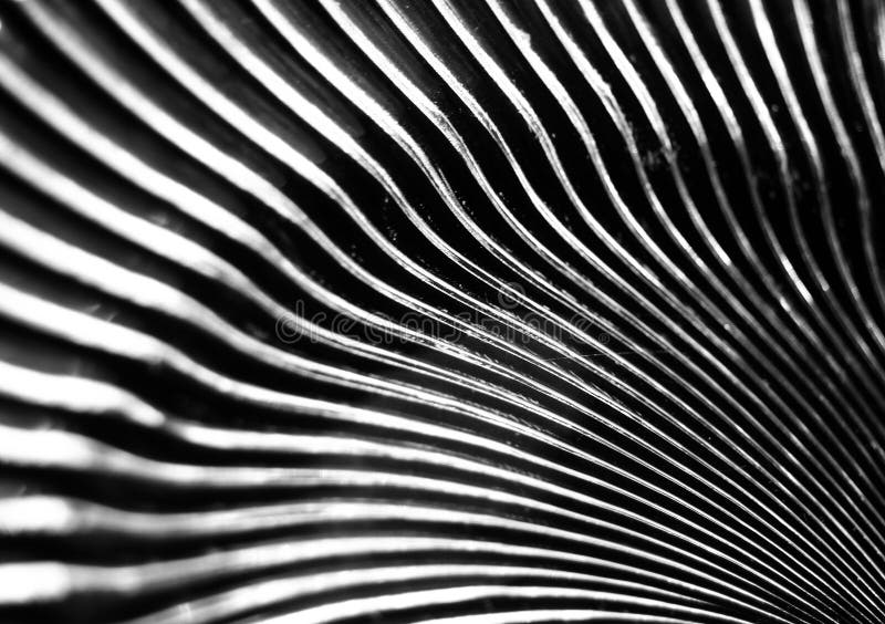 Curvas imagen de archivo. Imagen de curvas, textura, cristal - 1225731