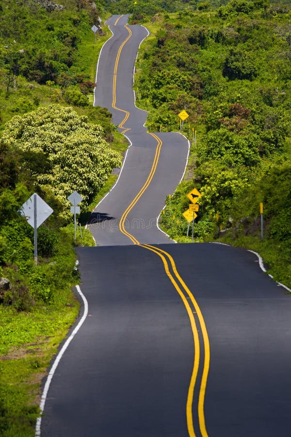 CURVAS MÚLTIPLES EN ESTE CAMINO QUE VA PARA ARRIBA UNA MONTAÑA Foto de ...