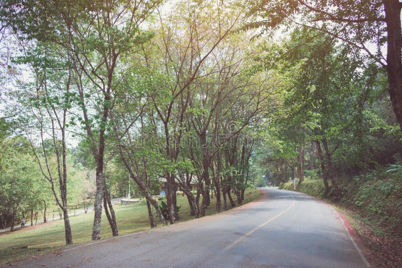 Sideway of Countryside Road in Summer Nature. Footpath with Green Trees ...