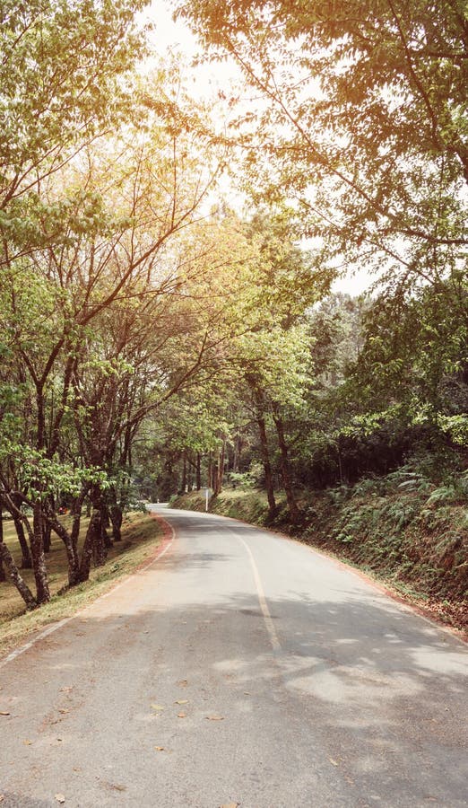 Sideway of Countryside Road in Summer Nature. Footpath with Green Trees ...