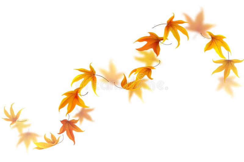 Curve of Autumn Leaves stock vector. Illustration of yellow - 58857400